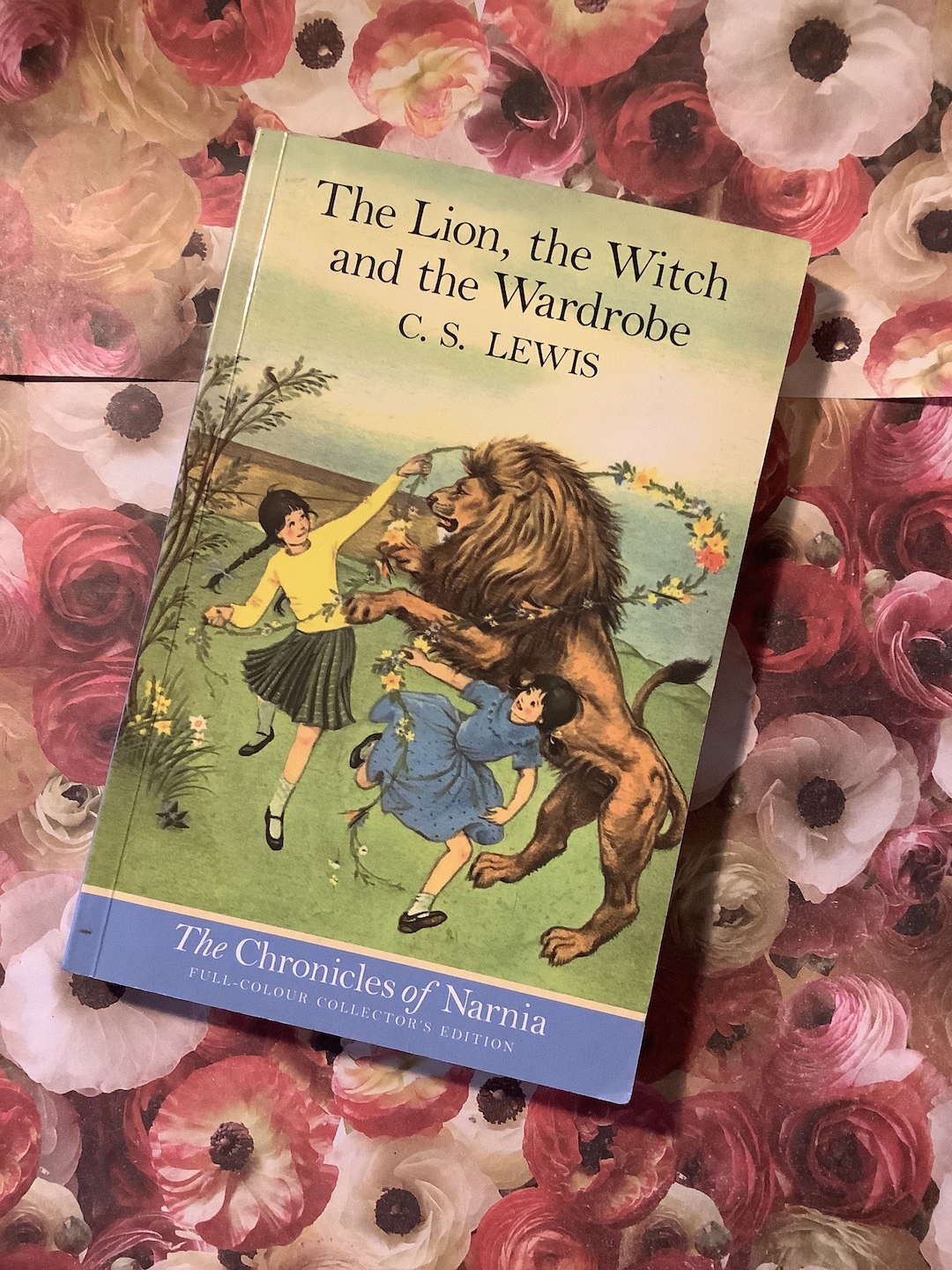 Vintage 1998 'the Lion, the Witch and the Wardrobe' Book in Paperback ...