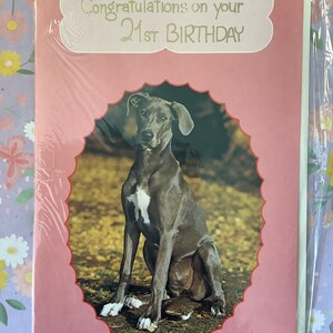 RARE Vintage Circa 1970s 'congratulations on Your 21st Birthday' Cute ...
