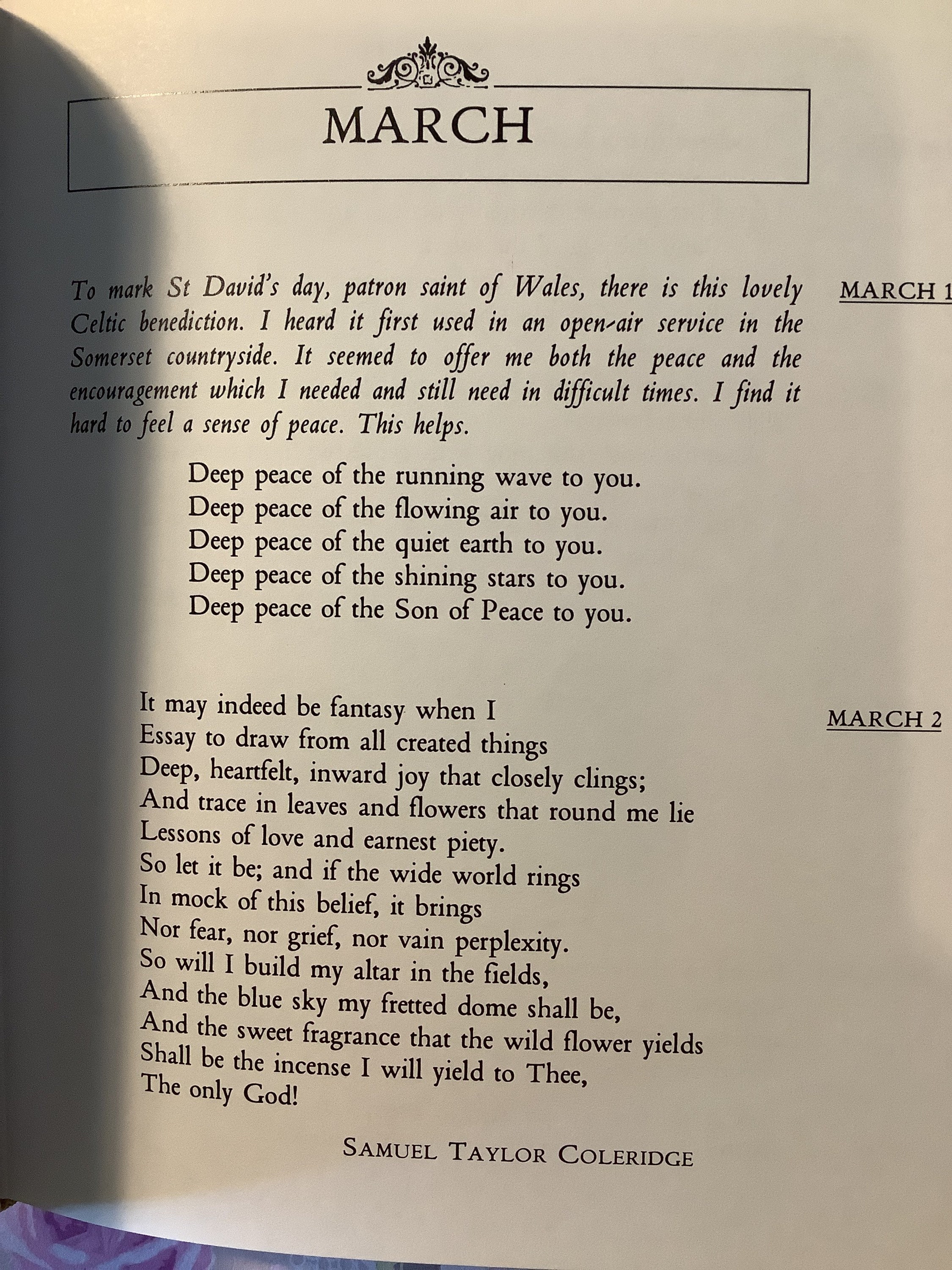 RARE Vintage 1991 Celia Haddon 'the Yearbook of Comfort - Etsy UK