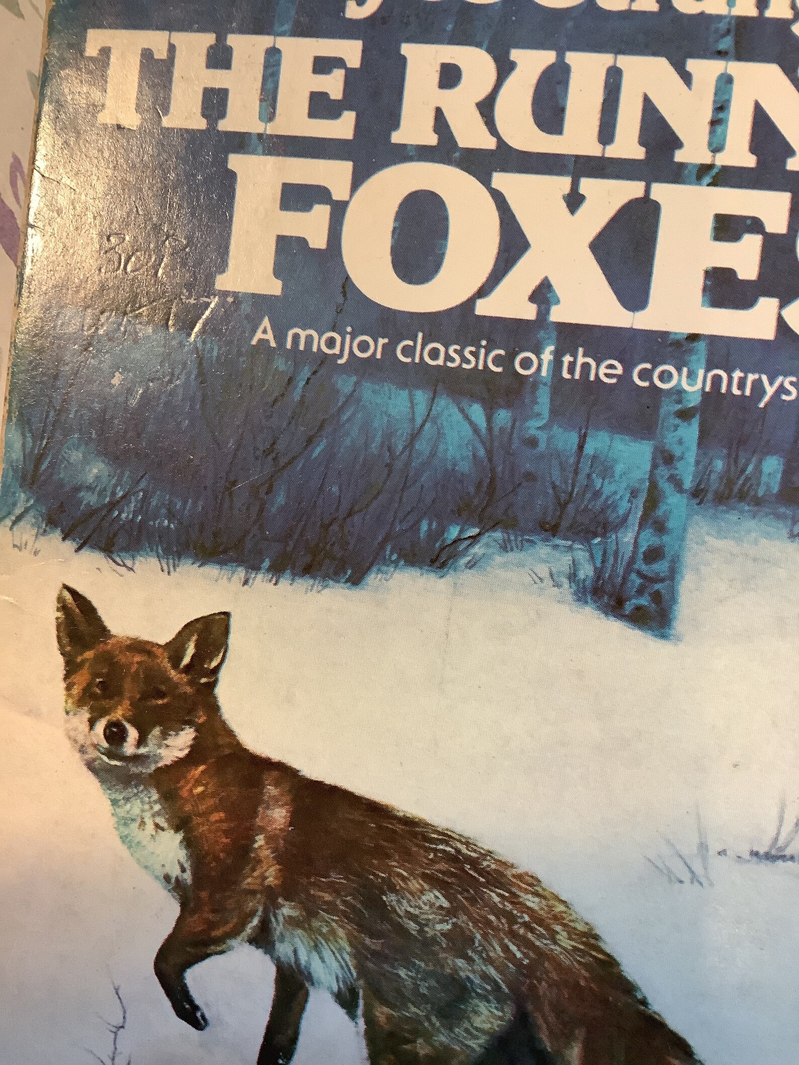 RARE Vintage 1976 the Running Foxes Paperback Book by Joyce Stranger ...
