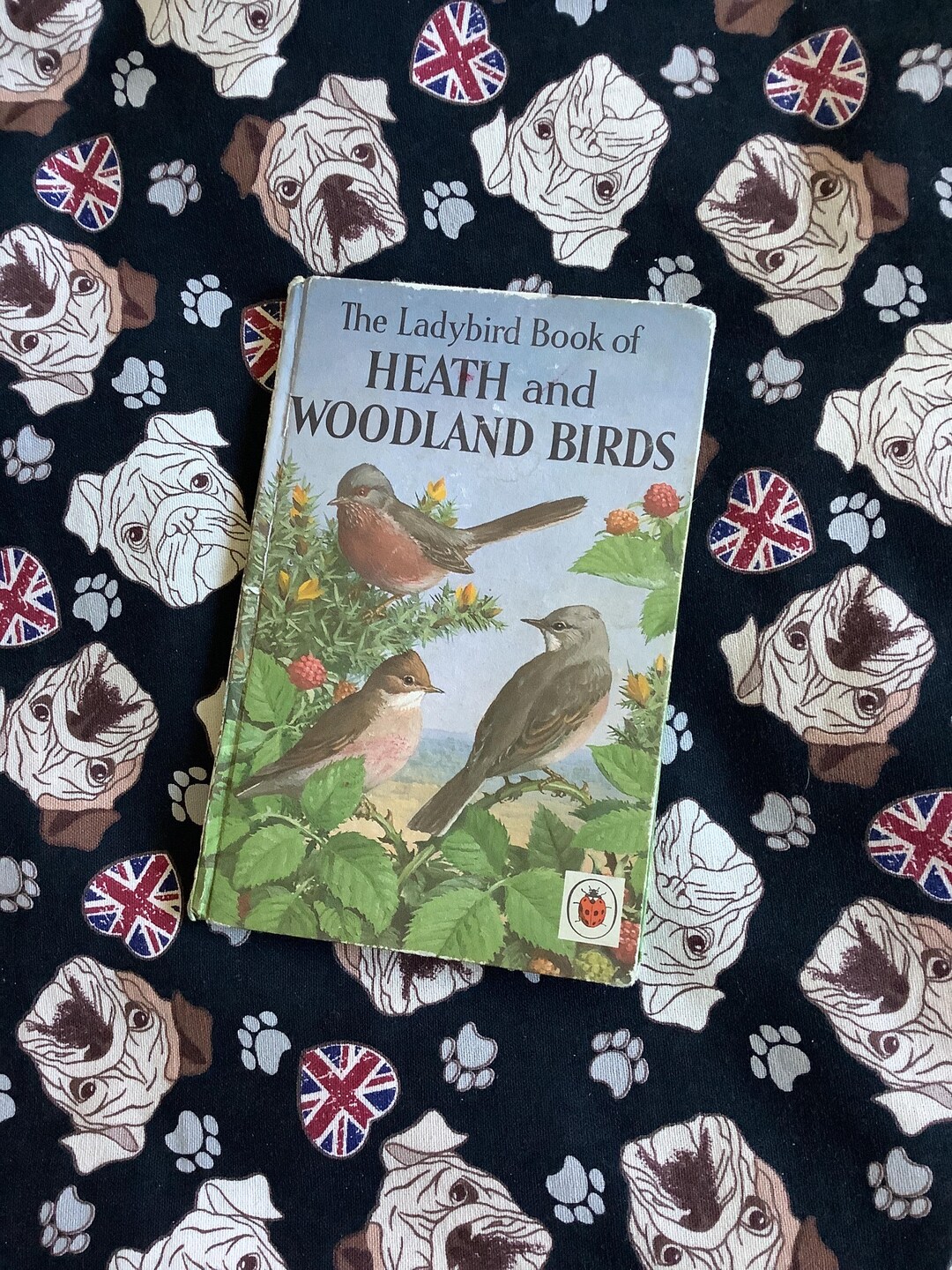 RARE Vintage 1968 the Ladybird Book of Heath and Woodland Birds in ...