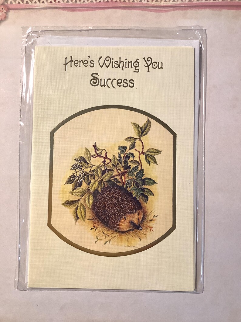 RARE Vintage Circa 1970s 'here's Wishing You Success' Card With ...