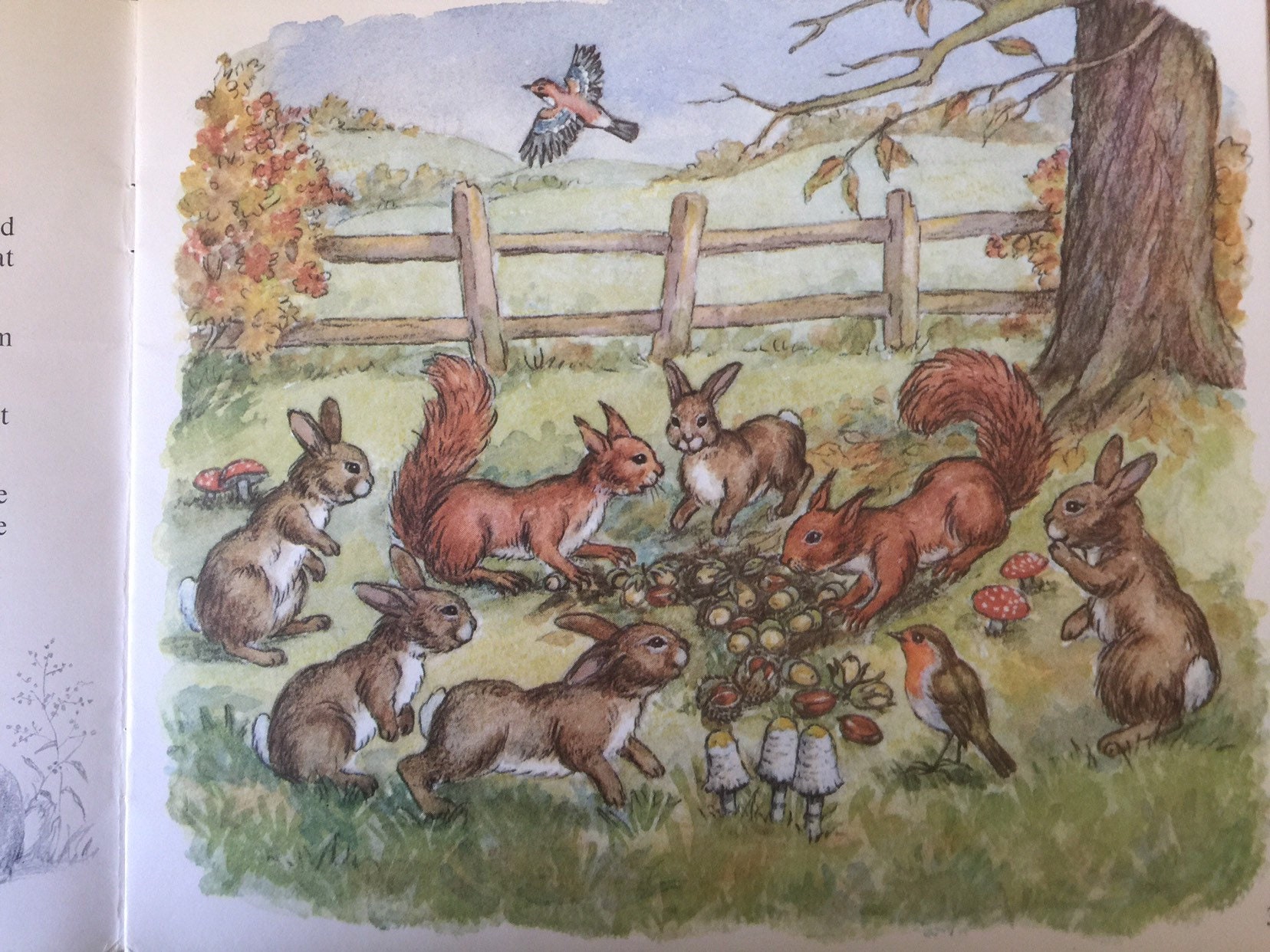 RARE Vintage 1978 'richard Rabbit Goes Boating' by | Etsy