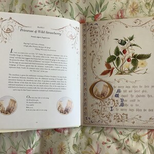 STUNNING Vintage 1999 First Printing 'the Country Flowers of a ...