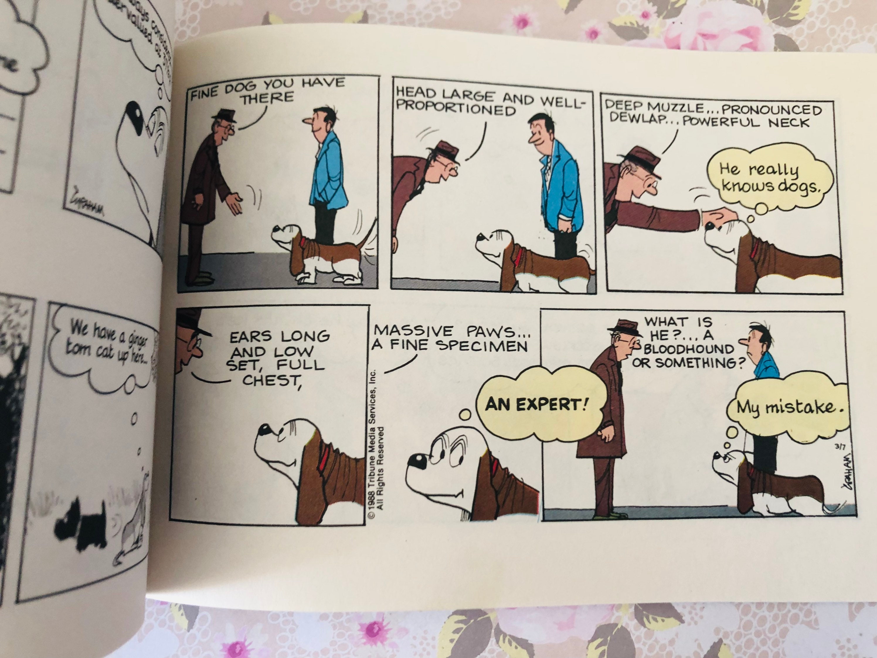 Vintage 1989 'Fred Basset' Comic Strip Book By Alex | Etsy