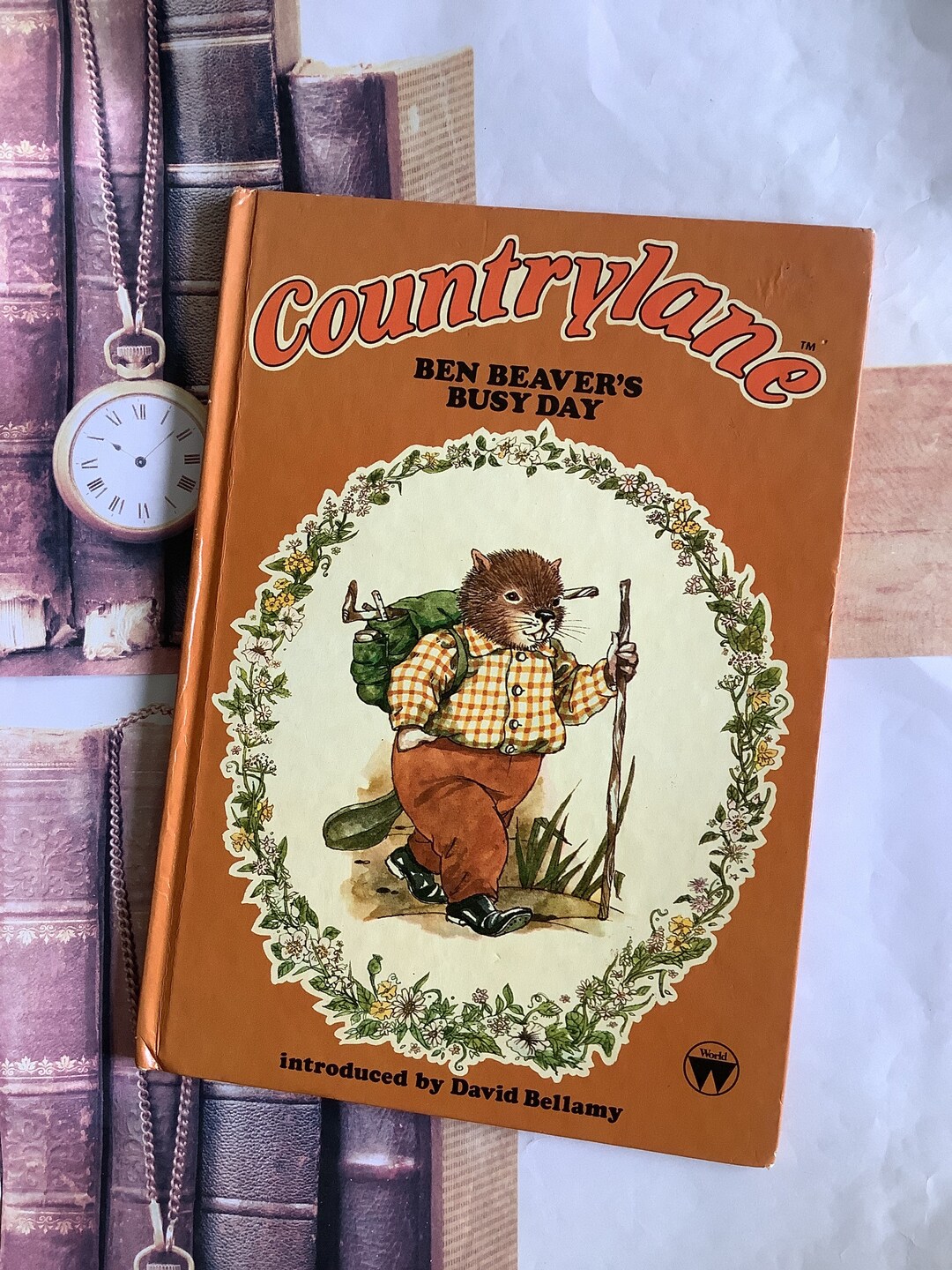RARE Vintage 1980 'countrylane Ben Beaver's Busy Day' Hardback Book ...