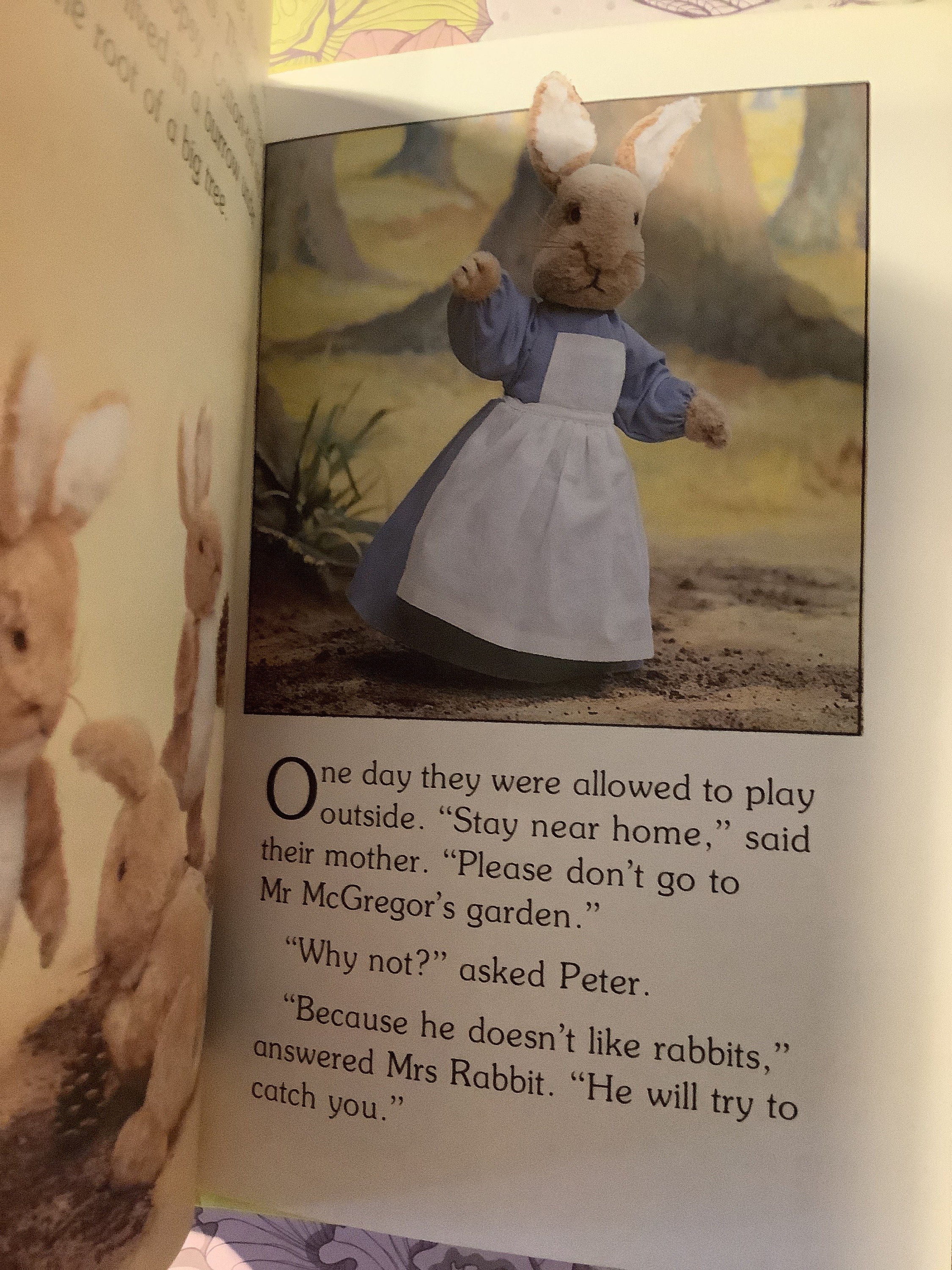 1990s Vintage Children's Book FIRST EDITION Ladybird Book by Beatrix ...