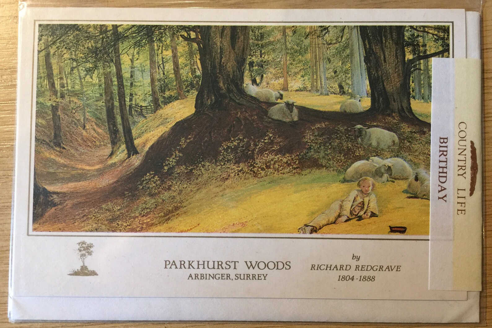 RARE Vintage Circa 1970s 'happy Birthday' Card - Parkhurst Woods ...
