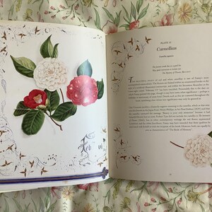 STUNNING Vintage 1999 First Printing 'the Country Flowers of a ...