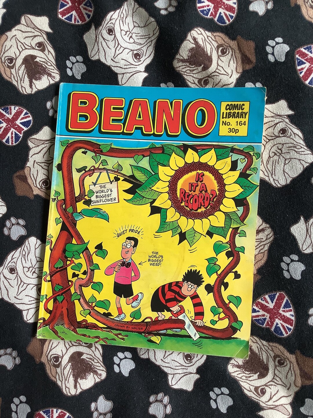 Rare Vintage From 1989 'beano - is It A Record?' Mini Comic No. 164 ...