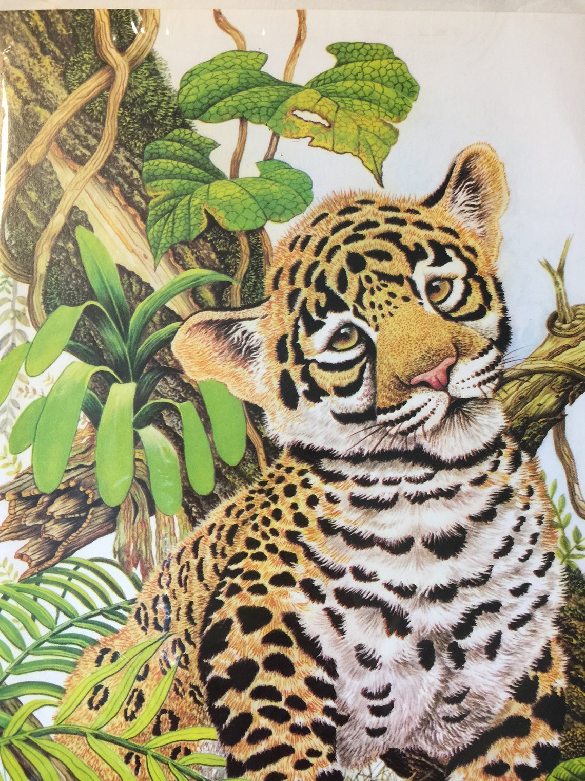 RARE Vintage Circa 1970s Tiger Cub Design Birthday Card - by Artist P ...