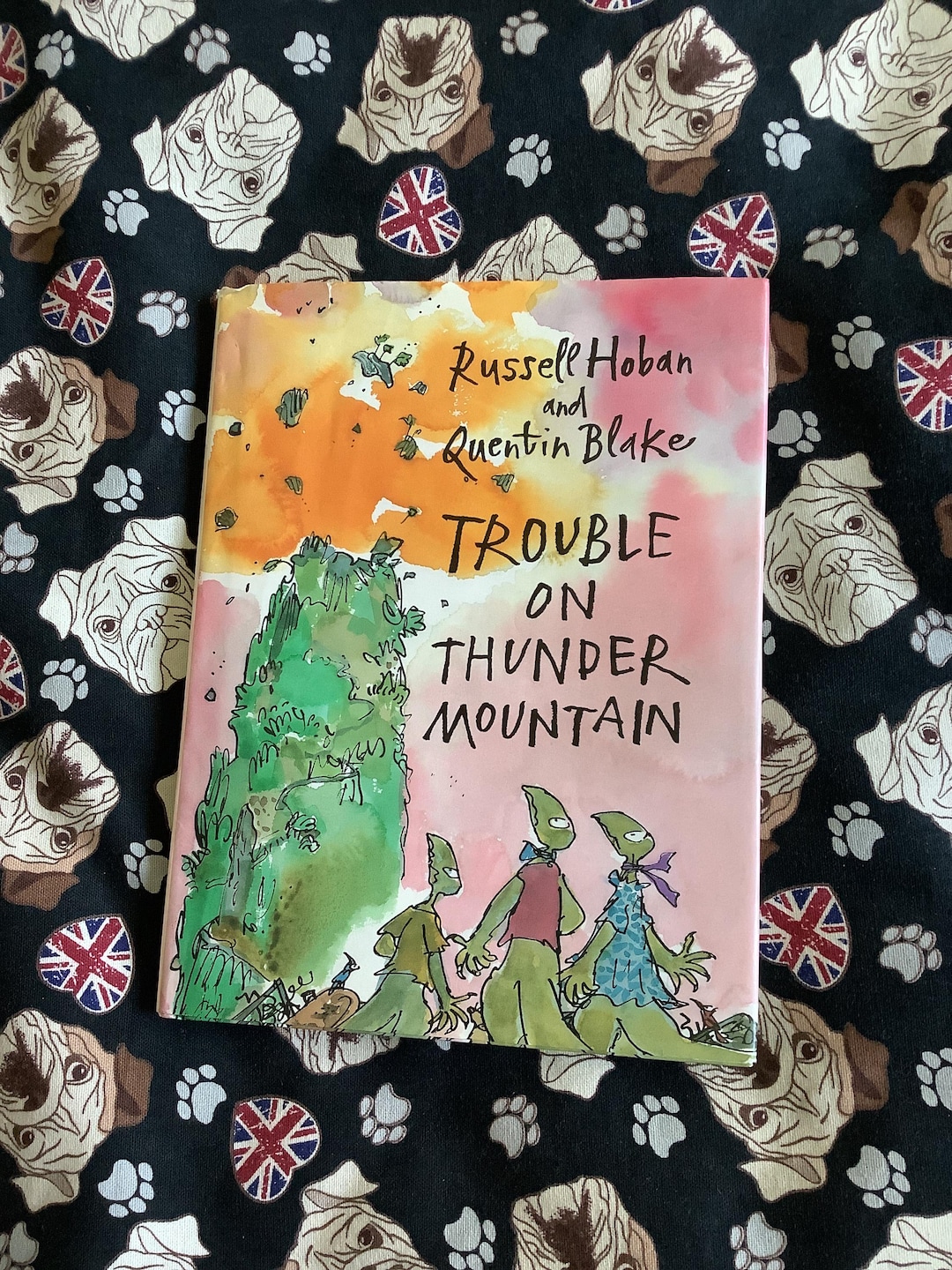 RARE Vintage 1999 First Edition 'trouble on Thunder' Mountain Hardback ...