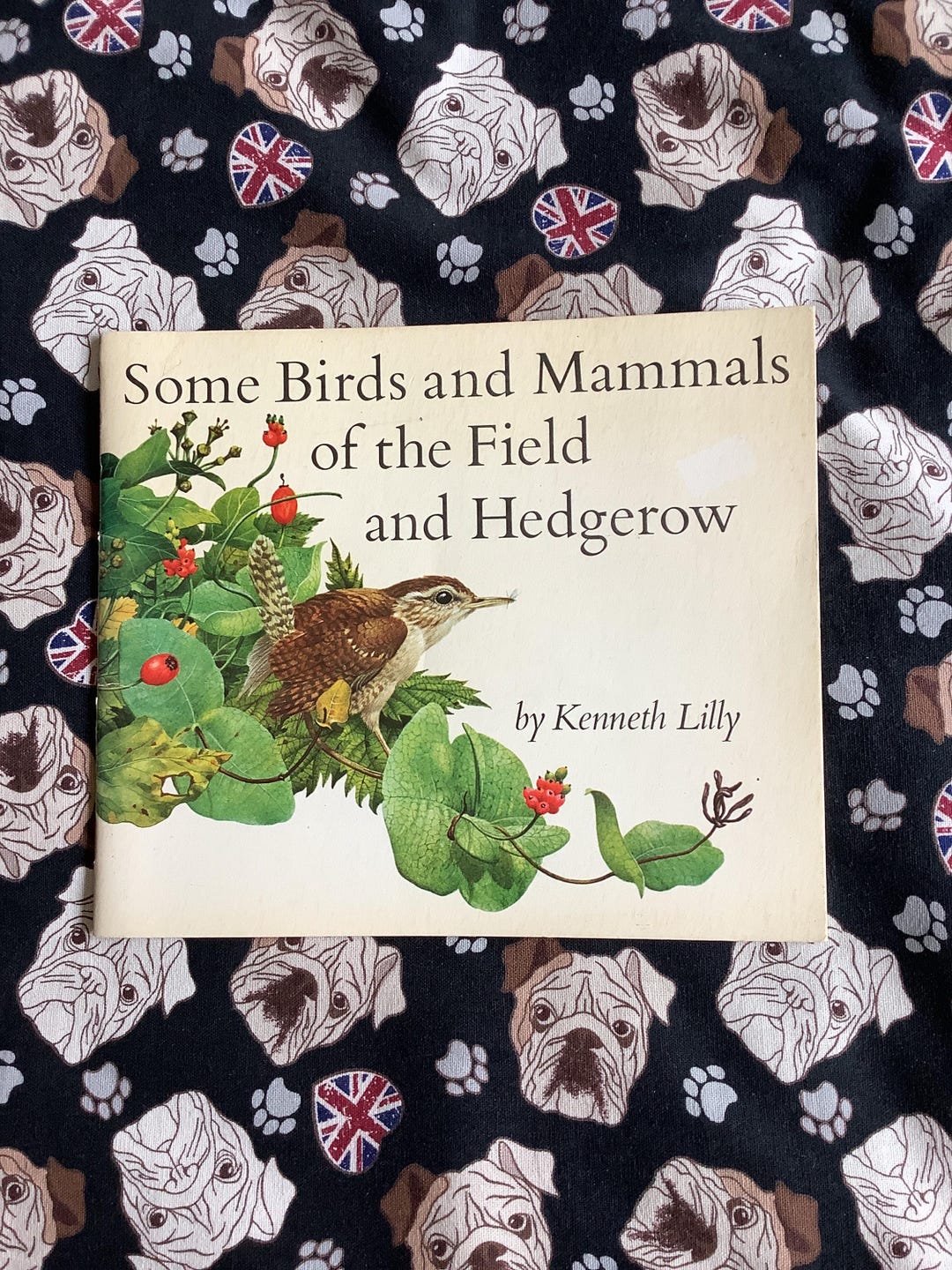 RARE Vintage 1980 Some Birds and Mammals of the Field and Hedgerow ...