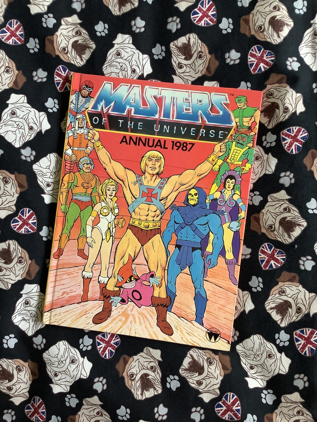RARE Vintage 1987 'masters of the Universe' Annual Hardback ...