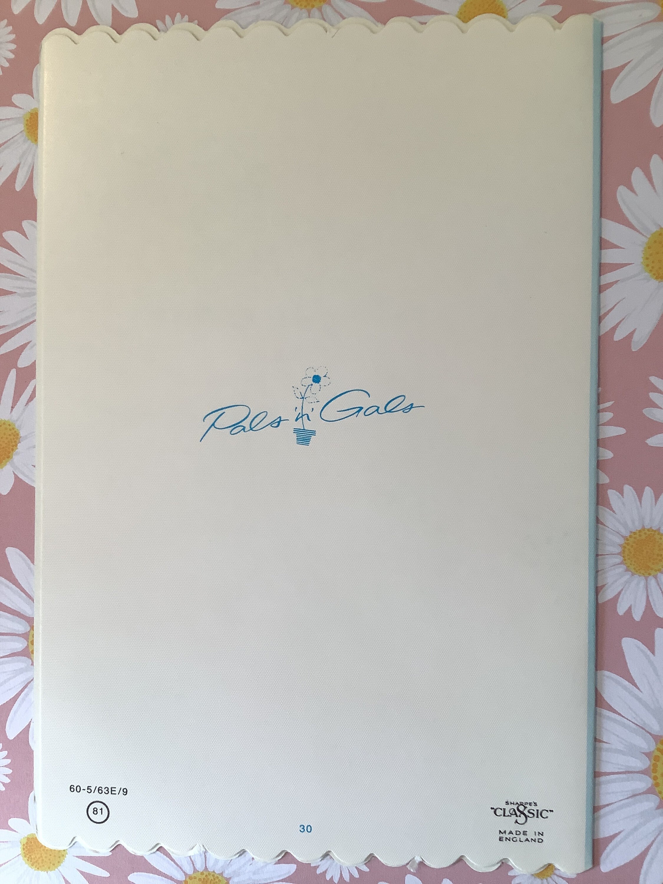 RARE Vintage Circa 1970s 'pals N Gals' Valentine's Day Card by Sharpe's ...
