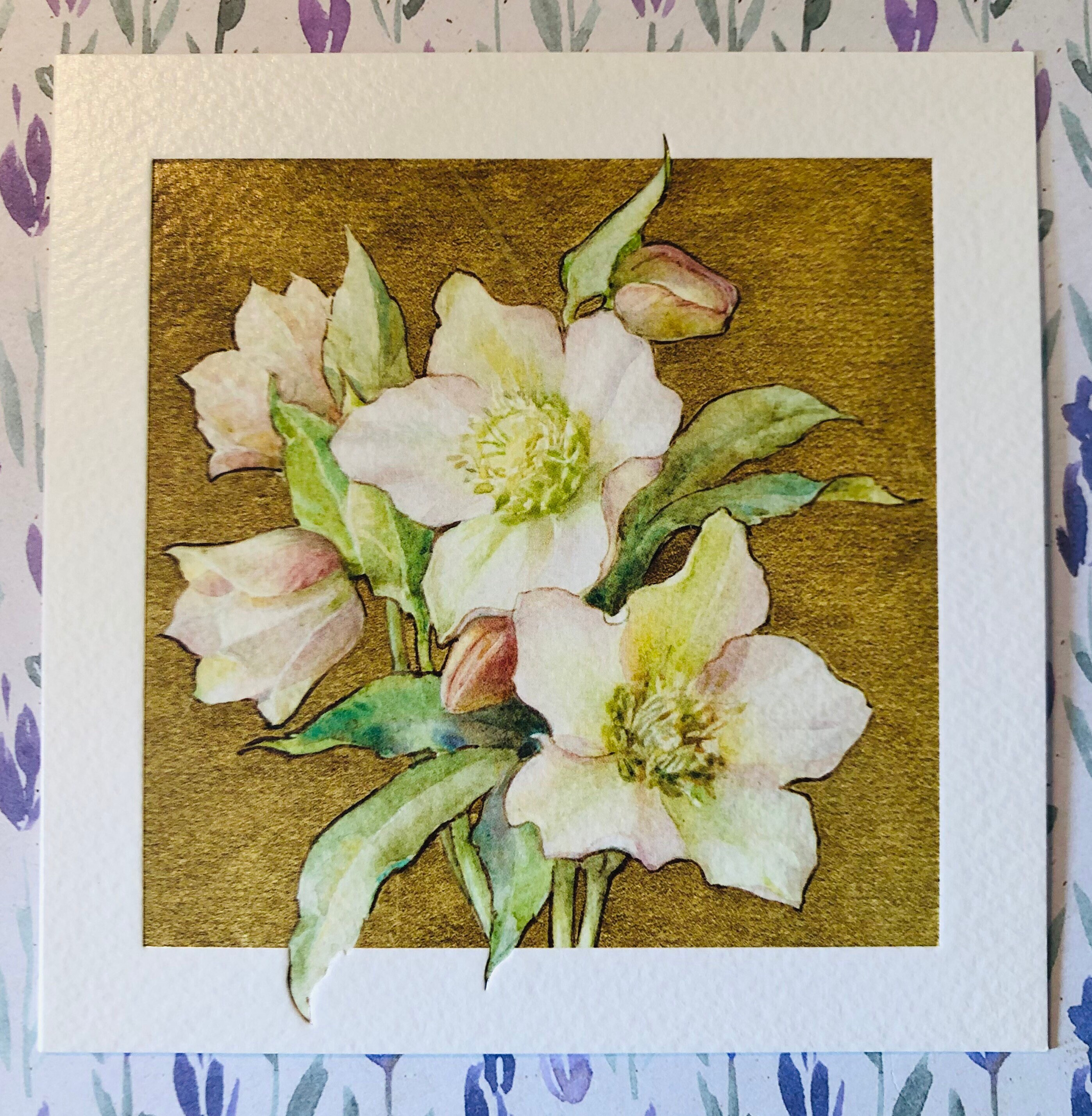 RARE Vintage 2000s Lenten Roses by Margaret W. Tarrant (1888-1959 ...