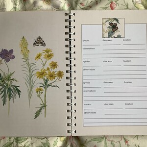 The Country Diary of an Edwardian Lady by Edith Holden 'countryside ...