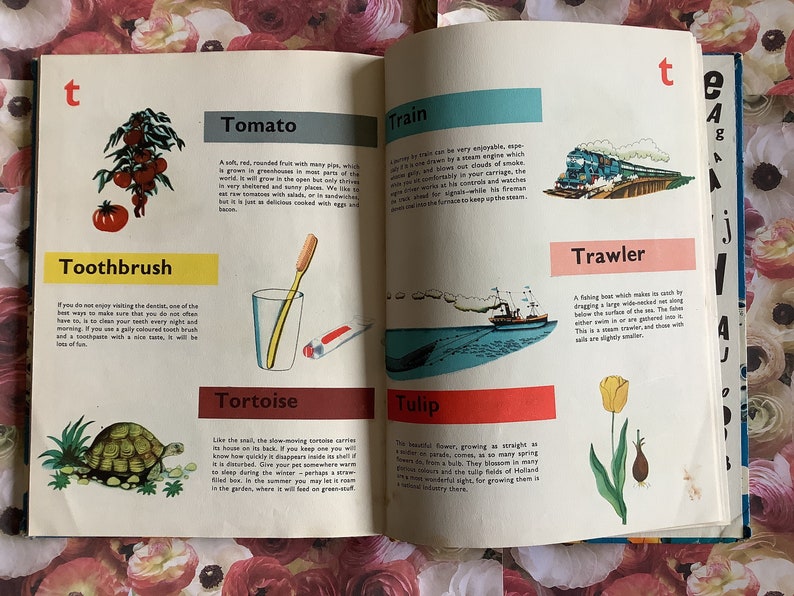 Very RARE Vintage 1961 'my ABC of Many Things' Book in - Etsy