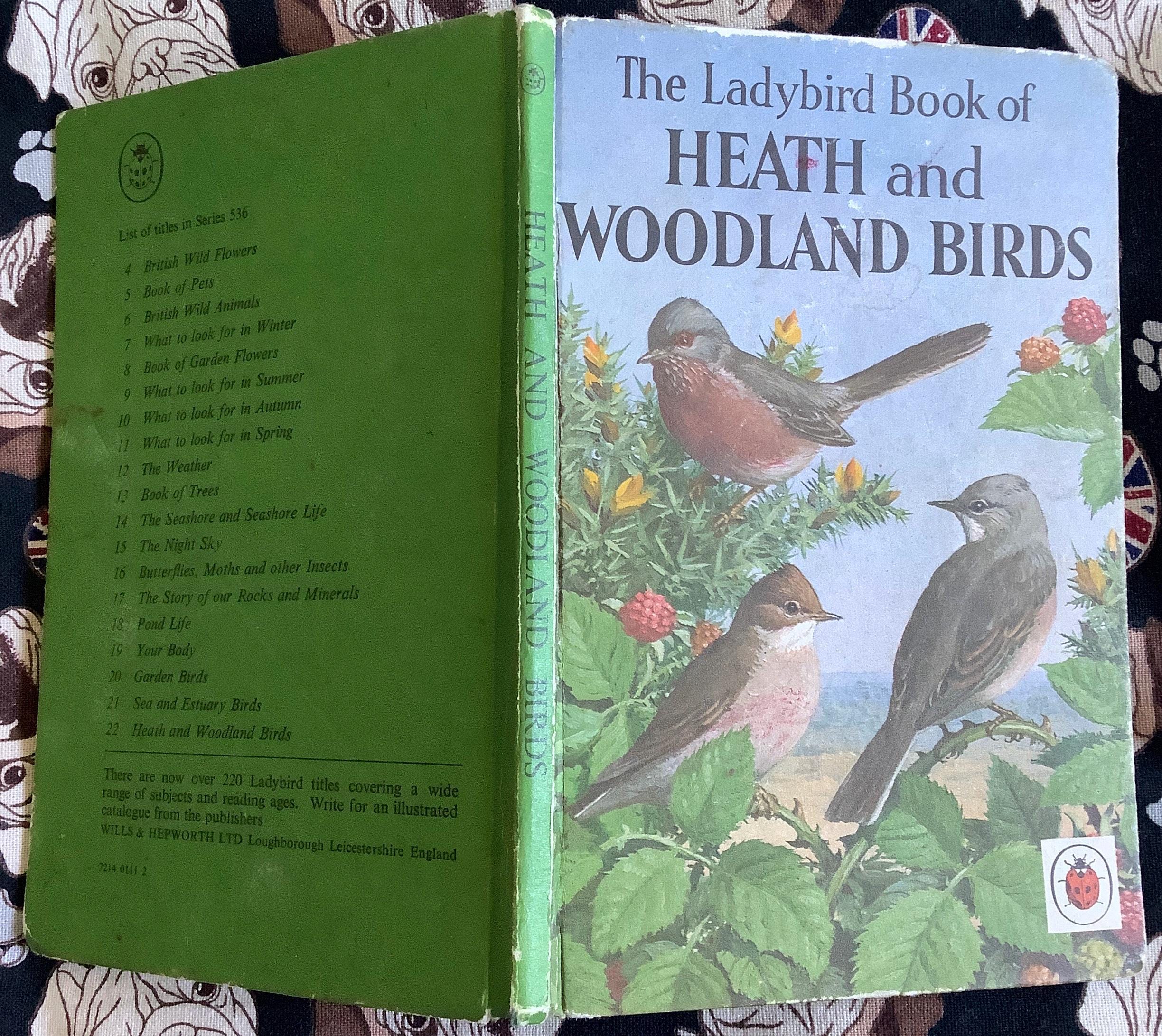 RARE Vintage 1968 the Ladybird Book of Heath and Woodland Birds in ...
