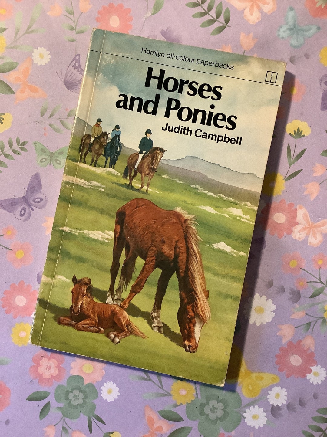 Rare 1978 Hamlin All-colour Paperbacks 'horses and Ponies' by Judith ...