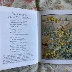VINTAGE 1999 'flower Fairies of the Wayside' Cicely Mary Barker ...