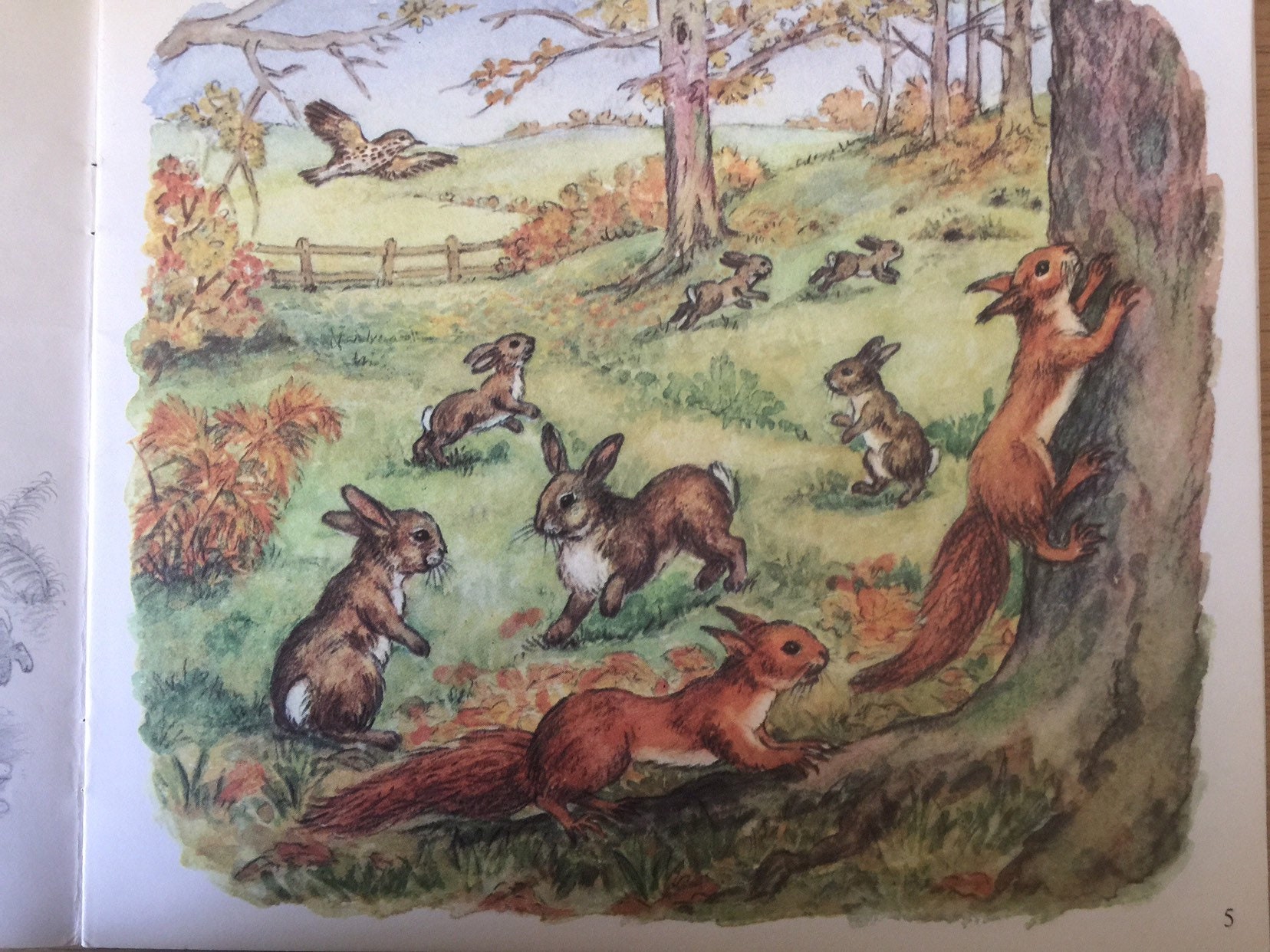 RARE Vintage 1978 'richard Rabbit Goes Boating' by | Etsy