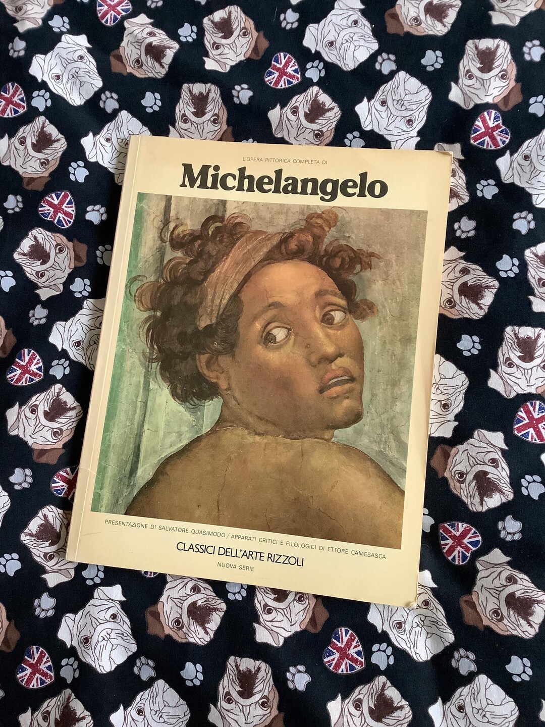 Rare Vintage 1977 'michelangelo' Large Paperback Book Written in ...