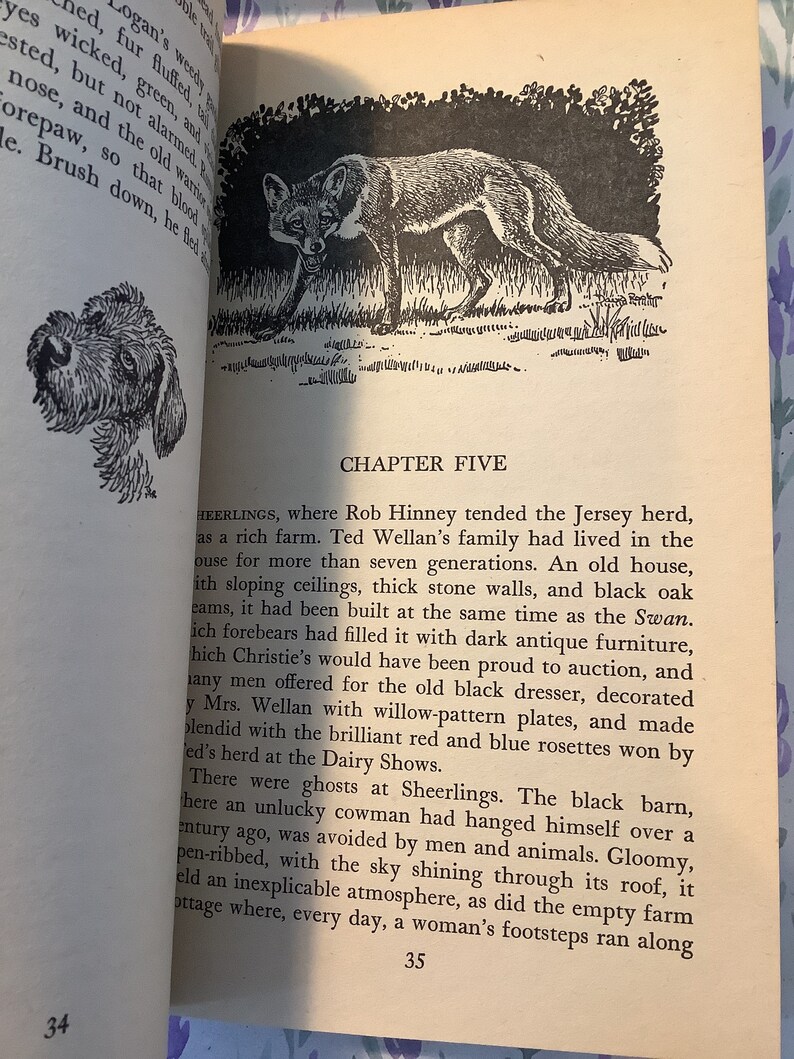 RARE Vintage 1976 the Running Foxes Paperback Book by Joyce Stranger ...