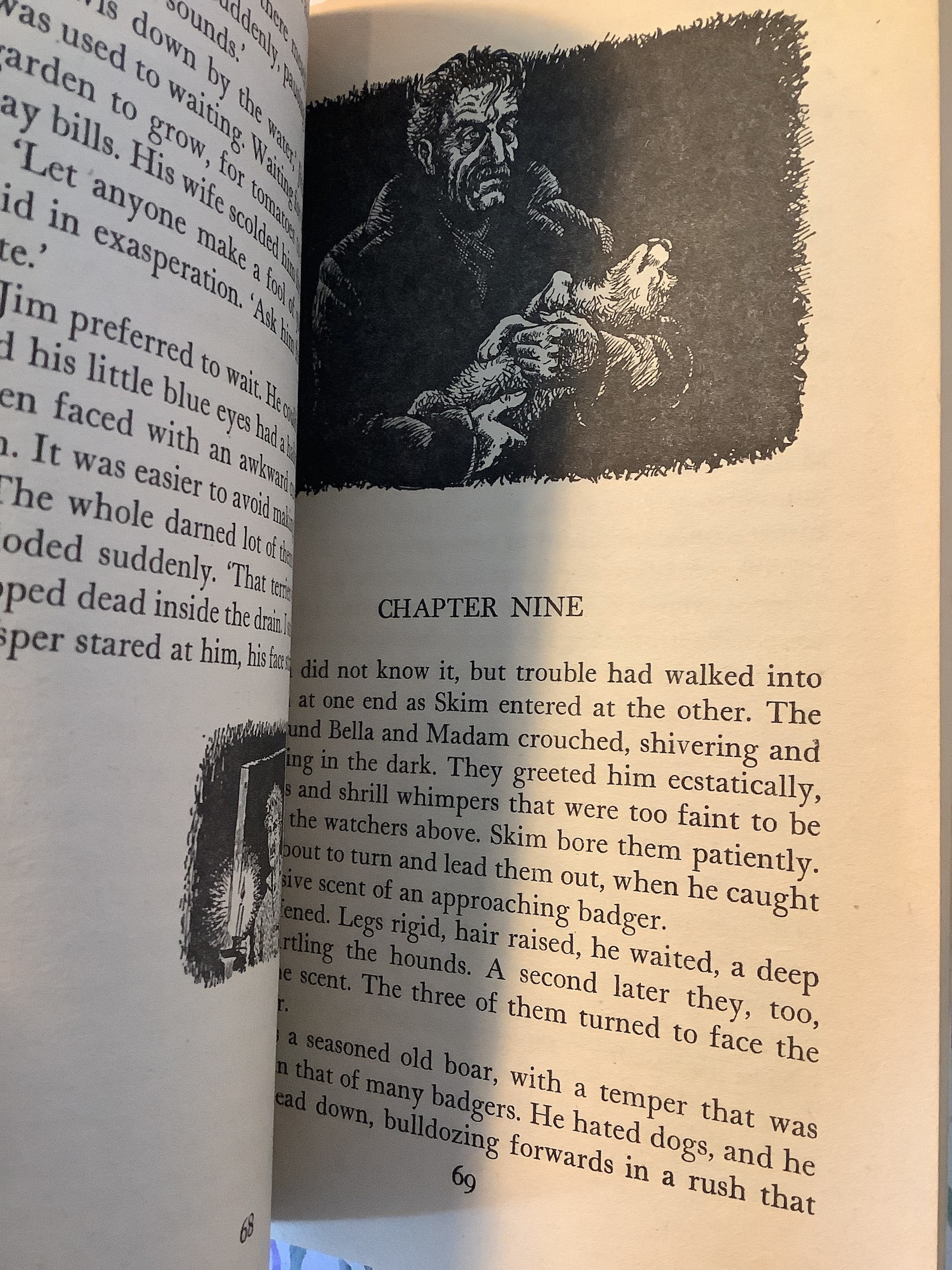 RARE Vintage 1976 the Running Foxes Paperback Book by Joyce Stranger ...