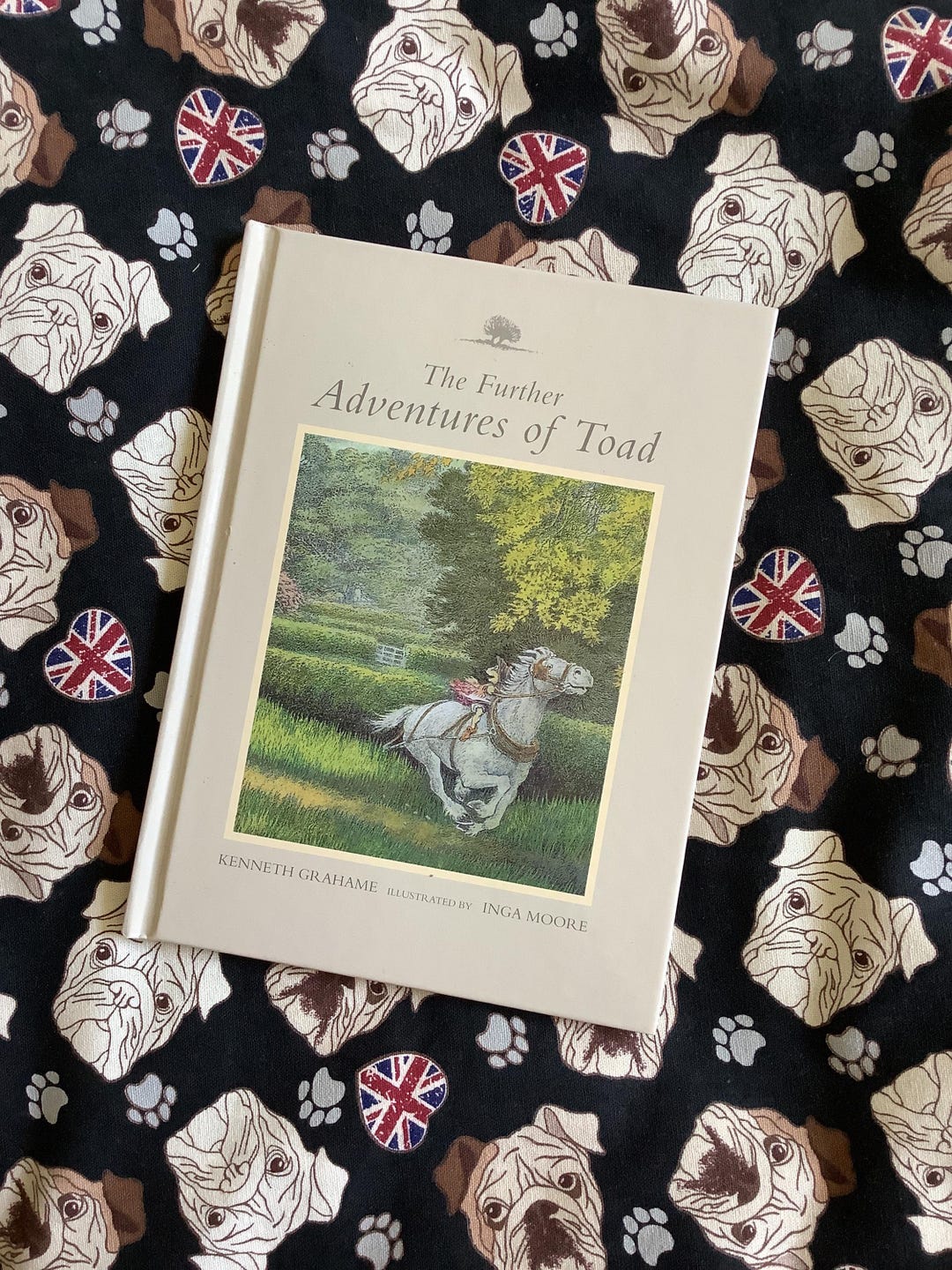 2004 Vintage Children's Book 'the Further Adventures of Toad' by ...