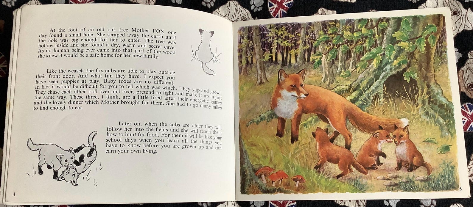 Vintage 1972 Let's Meet Some Baby Animals Book – Ella Bruce ...