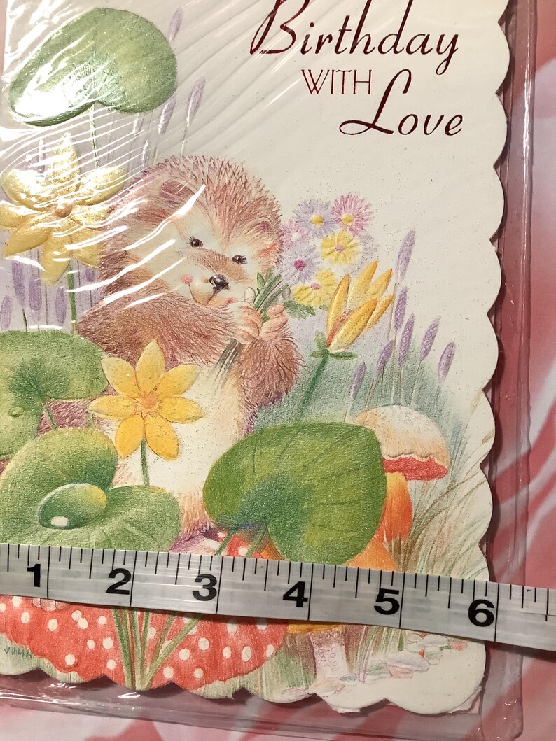 RARE Circa 1980s Larger Size Vintage Birthday Card -super Cute Hedgehog ...
