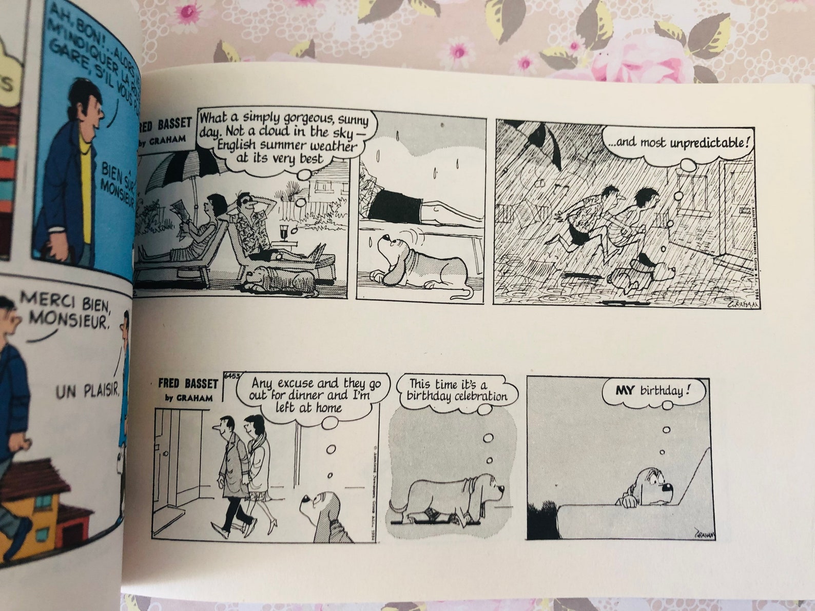 Vintage 1989 'fred Basset' Comic Strip Book by Alex - Etsy