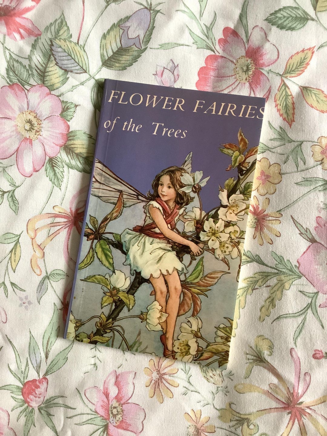 VINTAGE 1974 'flower Fairies of the Trees' by Cicely Mary Barker ...