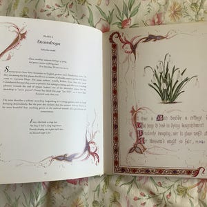 STUNNING Vintage 1999 First Printing 'the Country Flowers of a ...