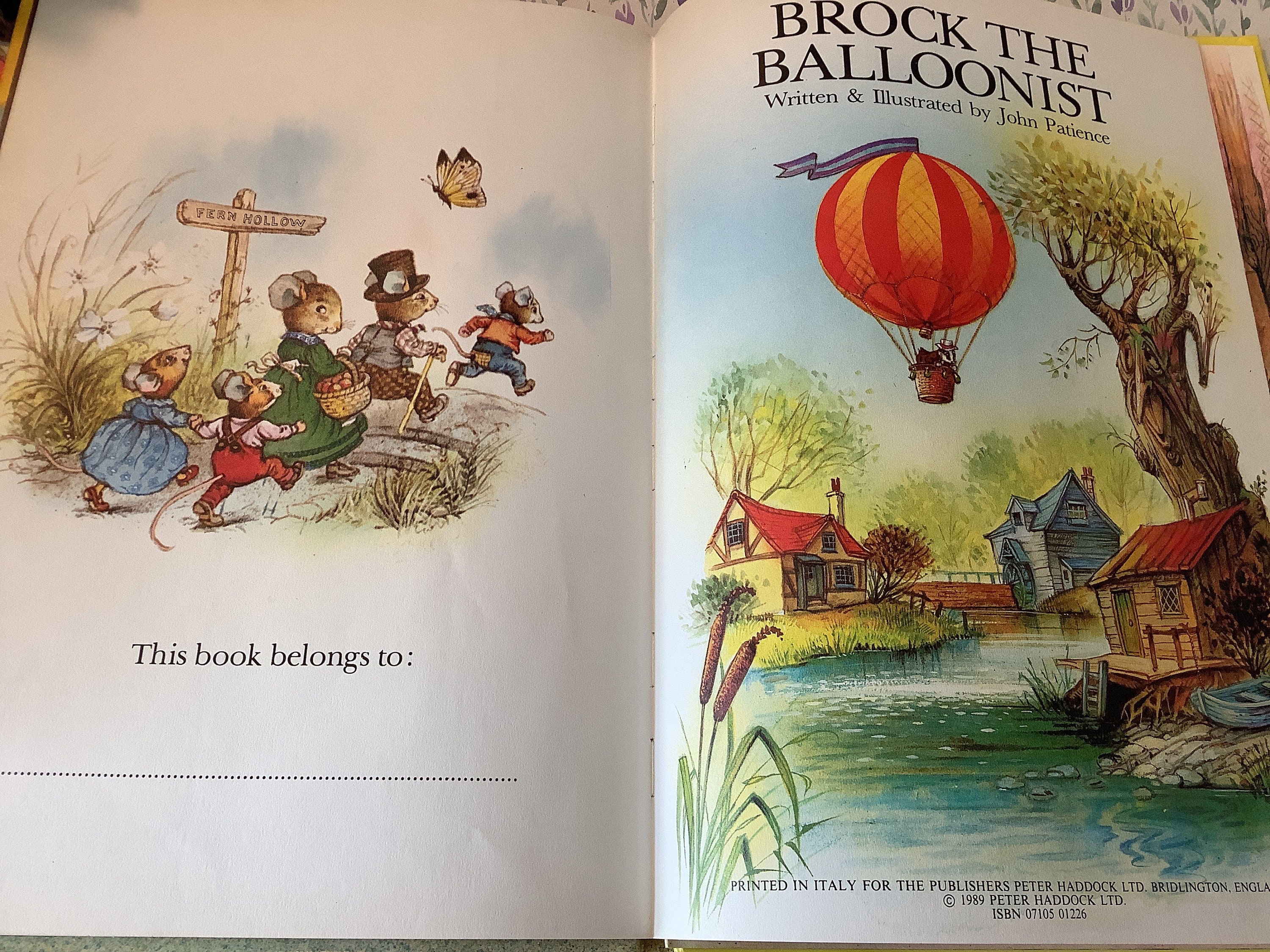 RARE Beautiful Vintage 1989 Tales From Fern Hollow 'brock | Etsy