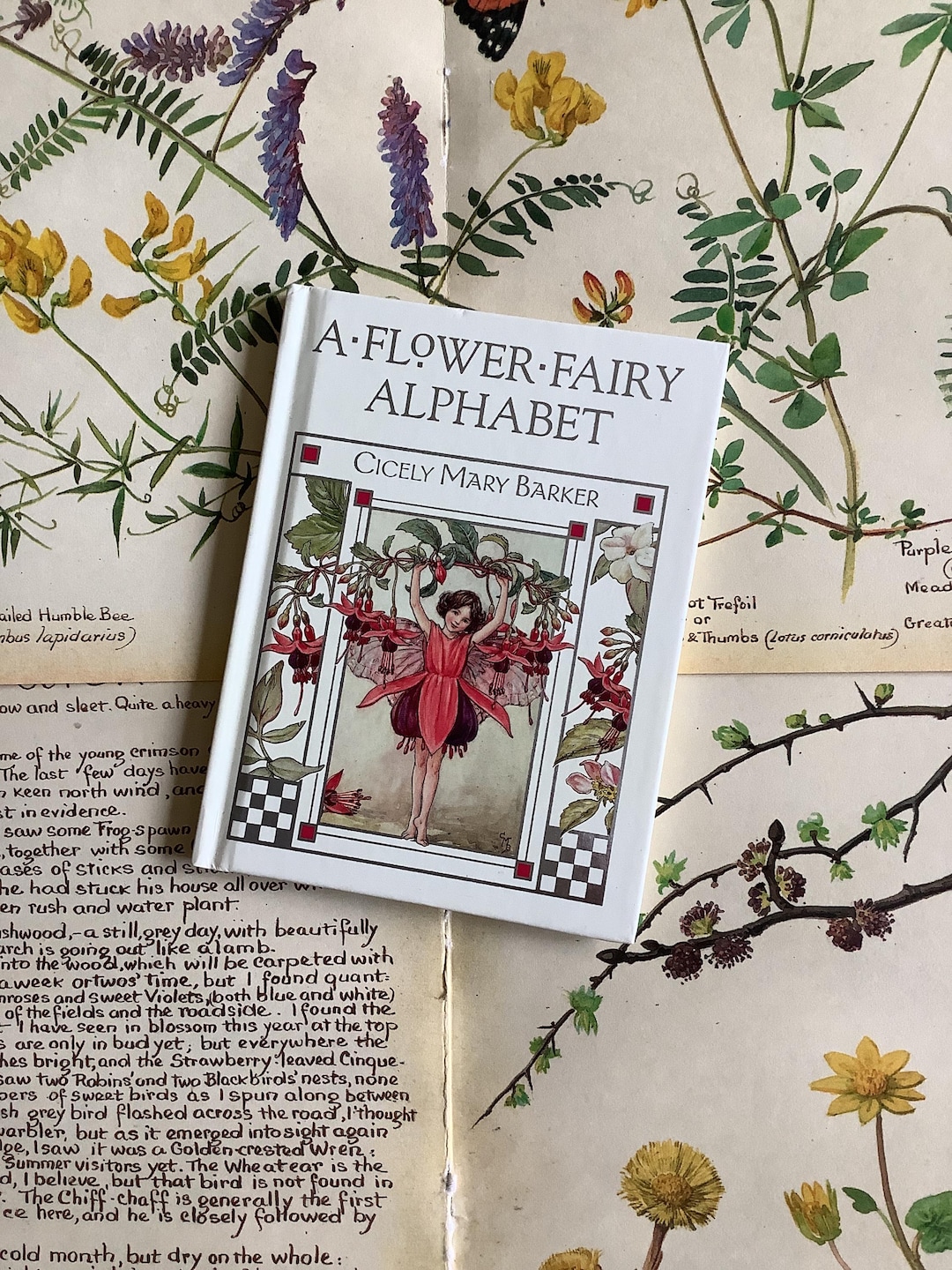 BEAUTIFUL 'A Flower Fairy Alphabet' Hardback Book by Cicely Mary Barker ...