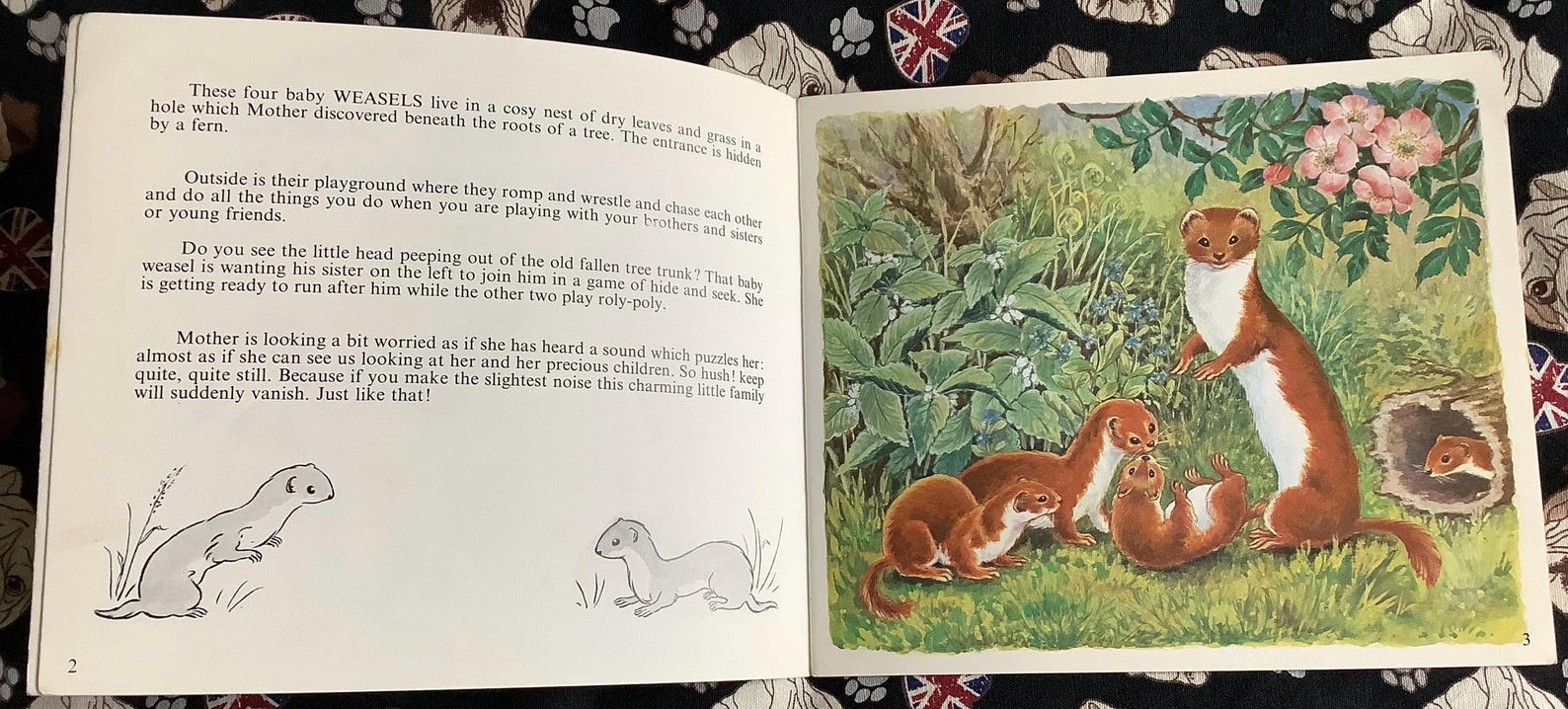 Vintage 1972 Let's Meet Some Baby Animals Book – Ella Bruce ...