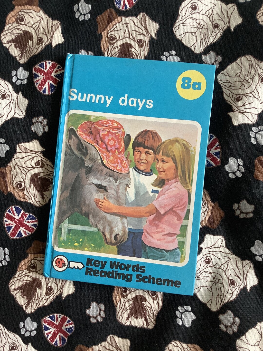 Vintage 1980s 8a 'sunny Days'' Ladybird Peter and Jane Key Words ...