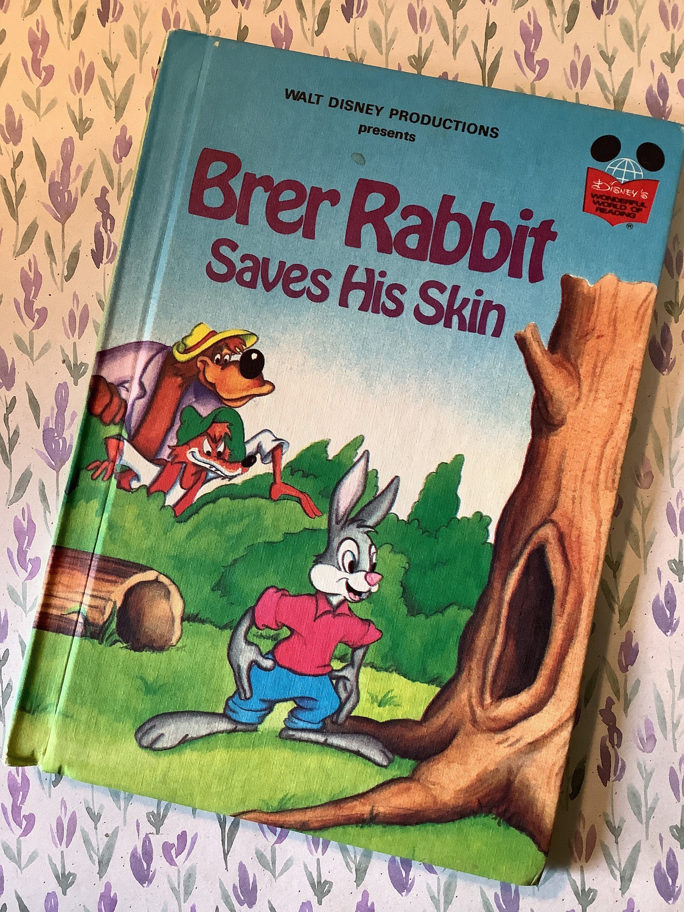 Brer Rabbit Book