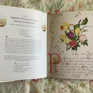 STUNNING Vintage 1999 First Printing 'the Country Flowers of a ...