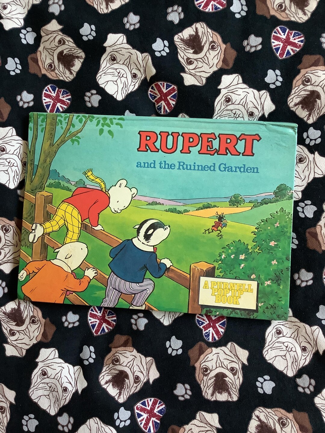 RARE Vintage 1975 First Edition 'rupert and the Ruined Garden' Hardback ...