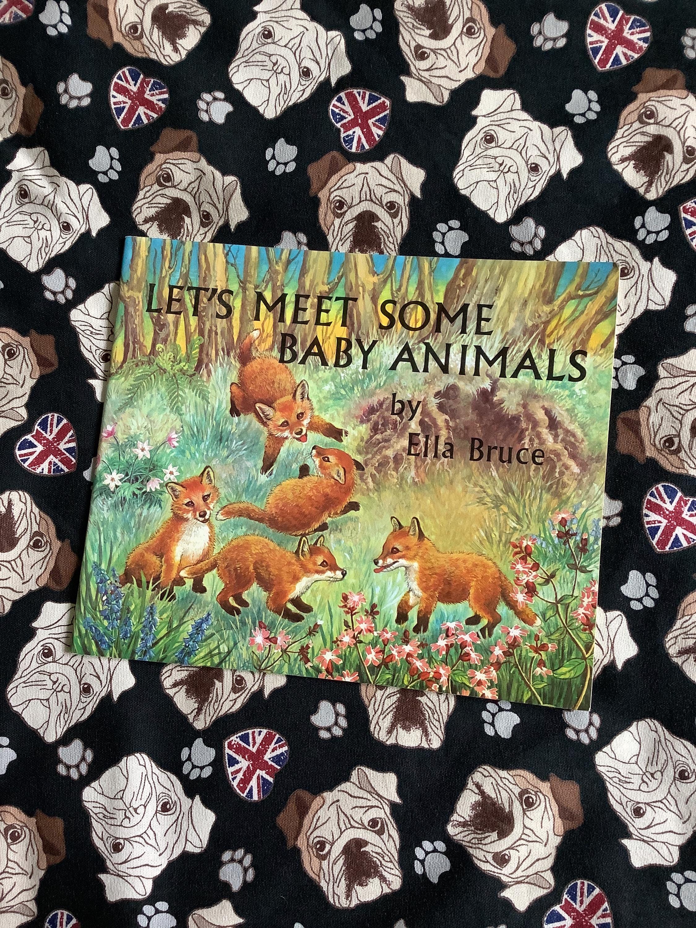 Vintage 1972 Let's Meet Some Baby Animals Book – Ella Bruce ...