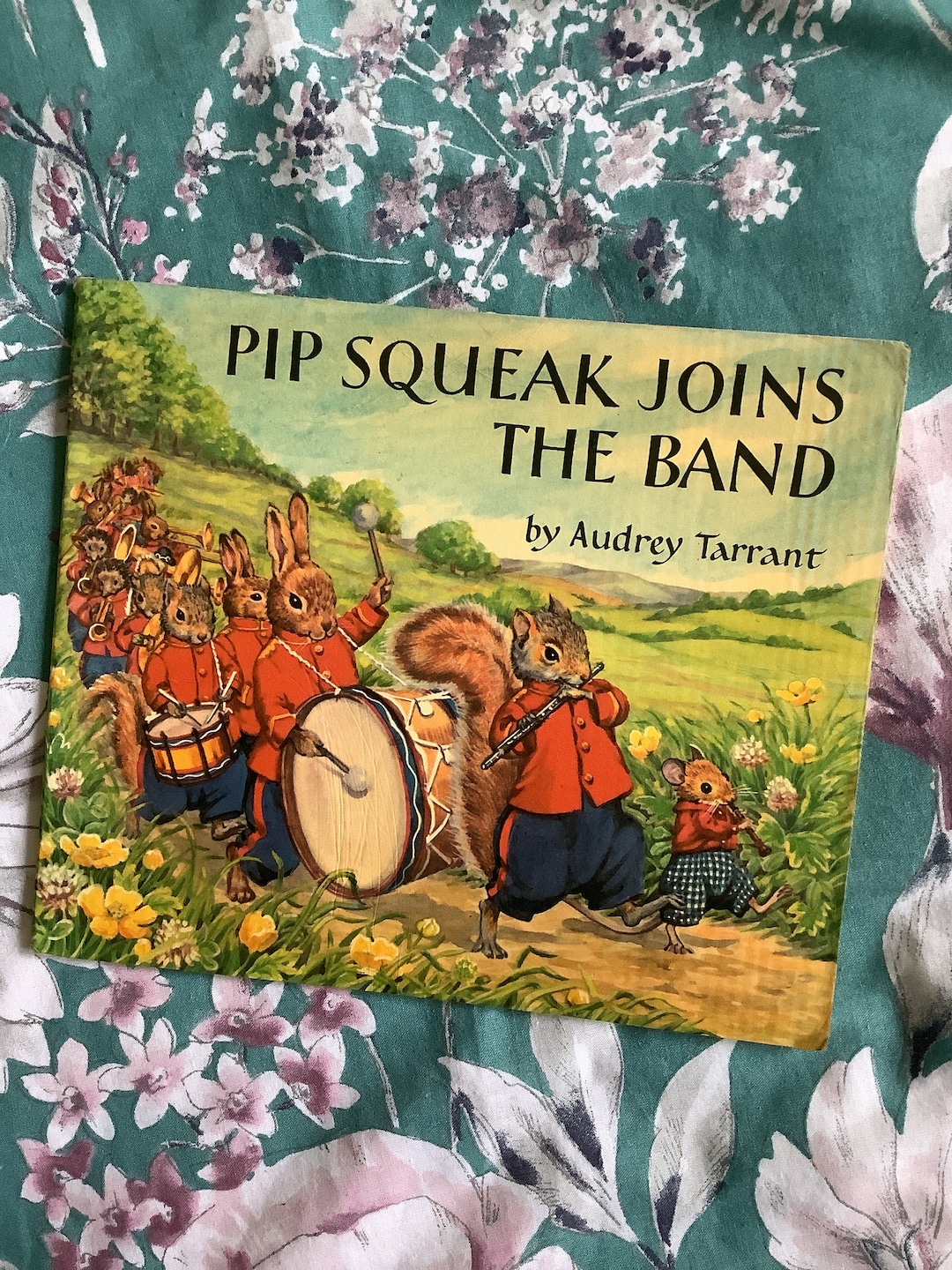 RARE Vintage 1976 'pip Squeak Joins the Band' by Audrey Tarrant ...