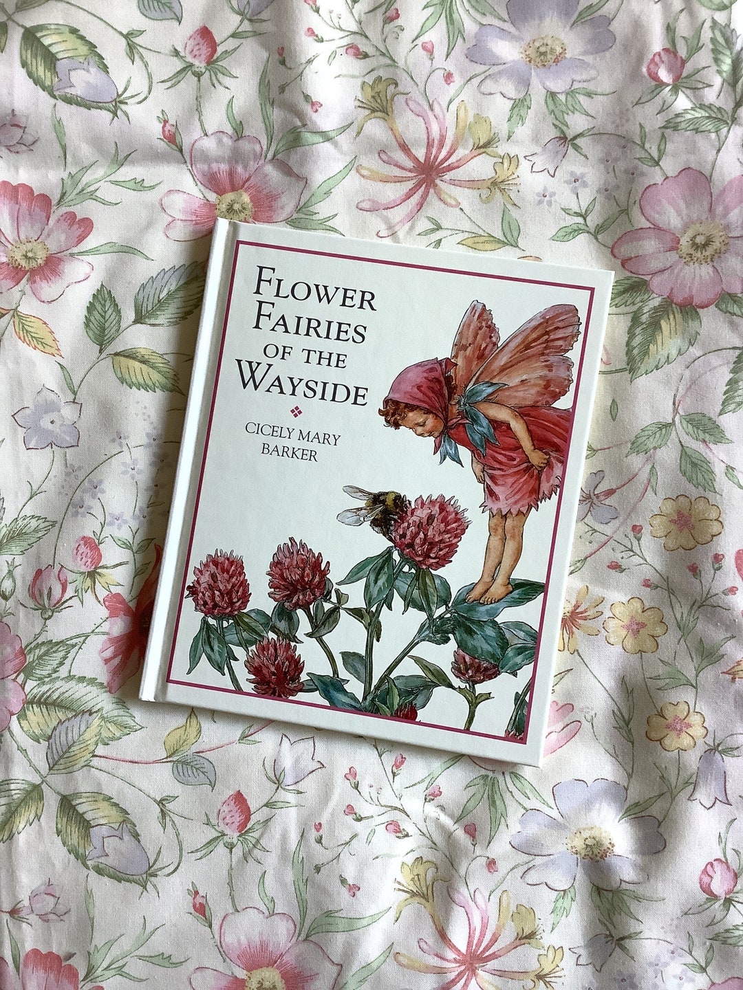 VINTAGE 1999 'flower Fairies of the Wayside' Cicely Mary Barker ...