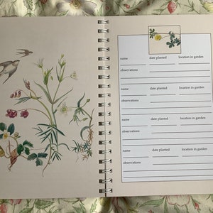 The Country Diary of an Edwardian Lady by Edith Holden 'countryside ...