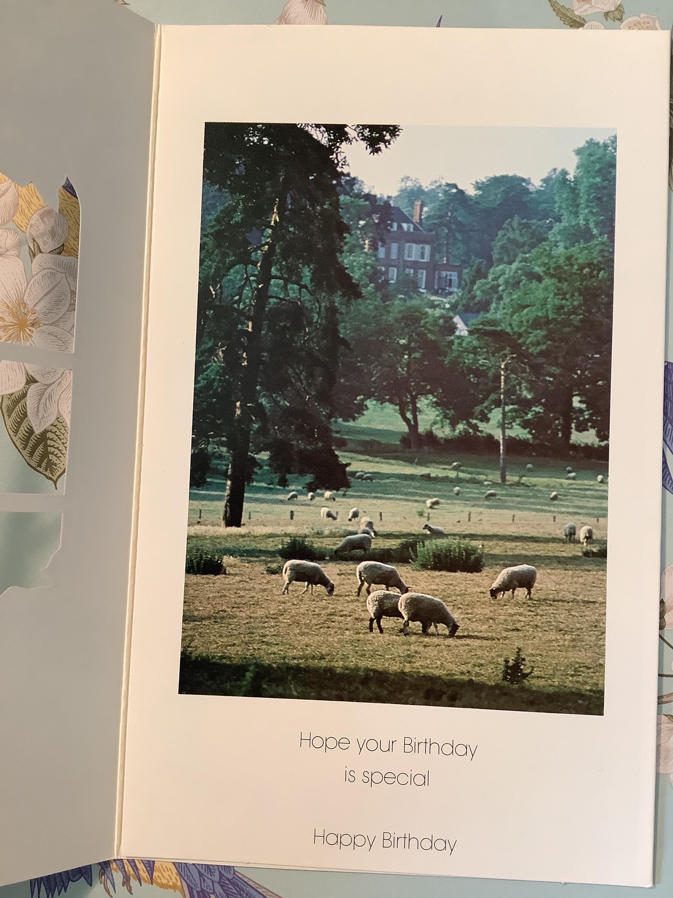RARE 1980 Vintage 'happy Birthday' Card - Pretty Retro Photo Card ...