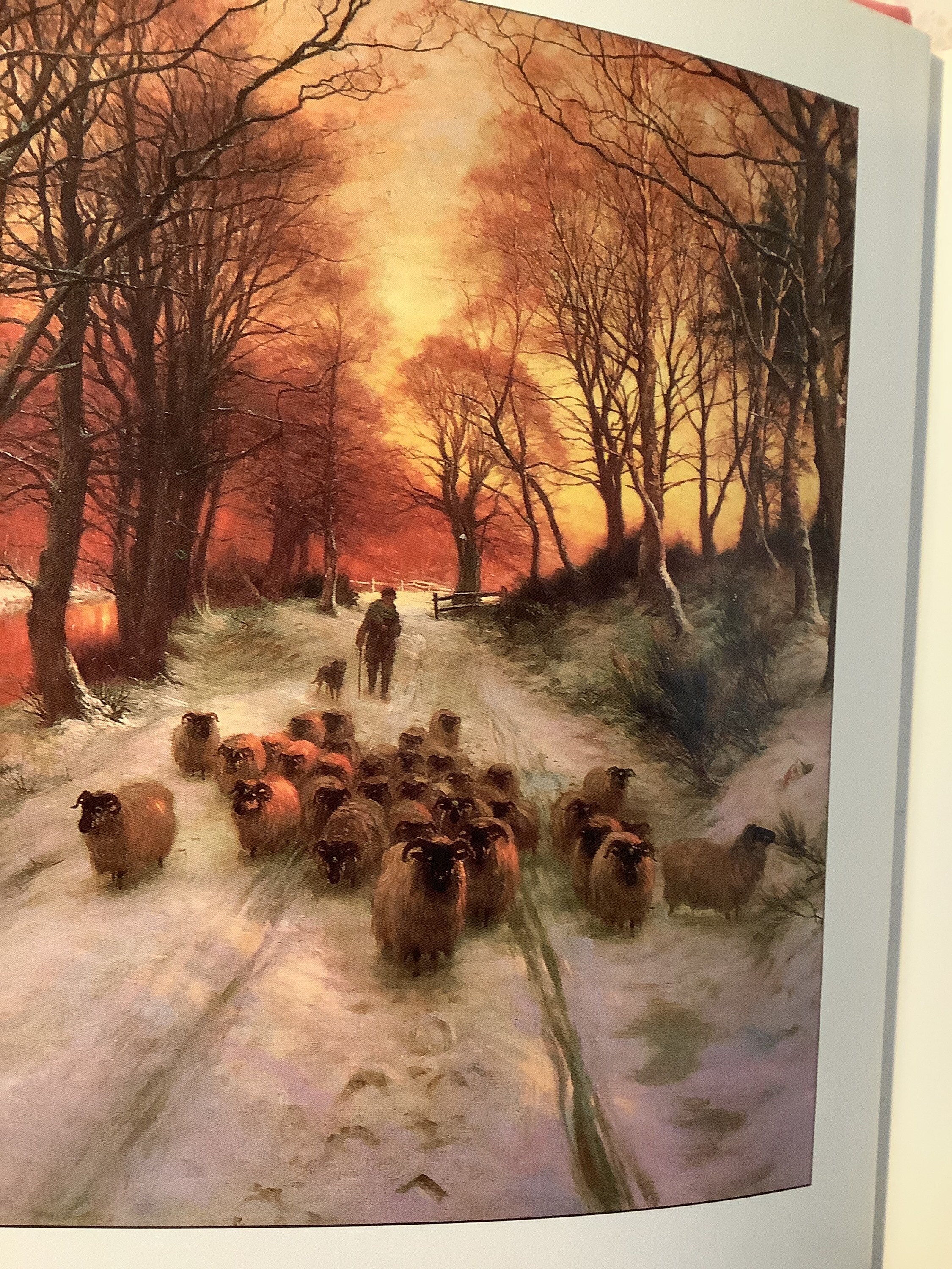 RARE Vintage 1991 Celia Haddon 'the Yearbook of Comfort - Etsy UK