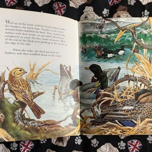 1982 Vintage Children's Book 'eye-view Library 'the Duck' in Hardback ...