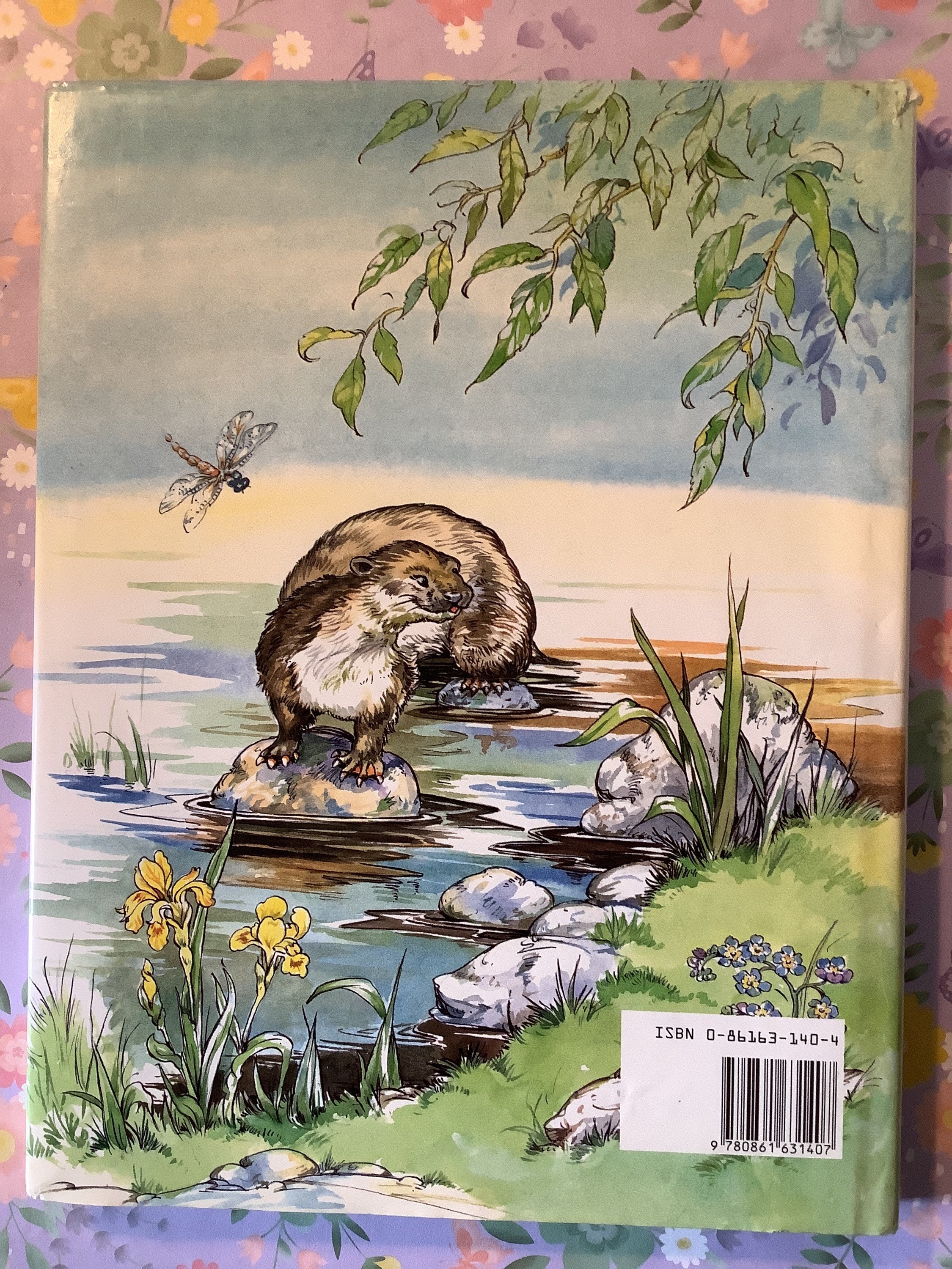 RARE & Stunning Vintage 1985 Kenneth Grahame's 'the - Etsy UK